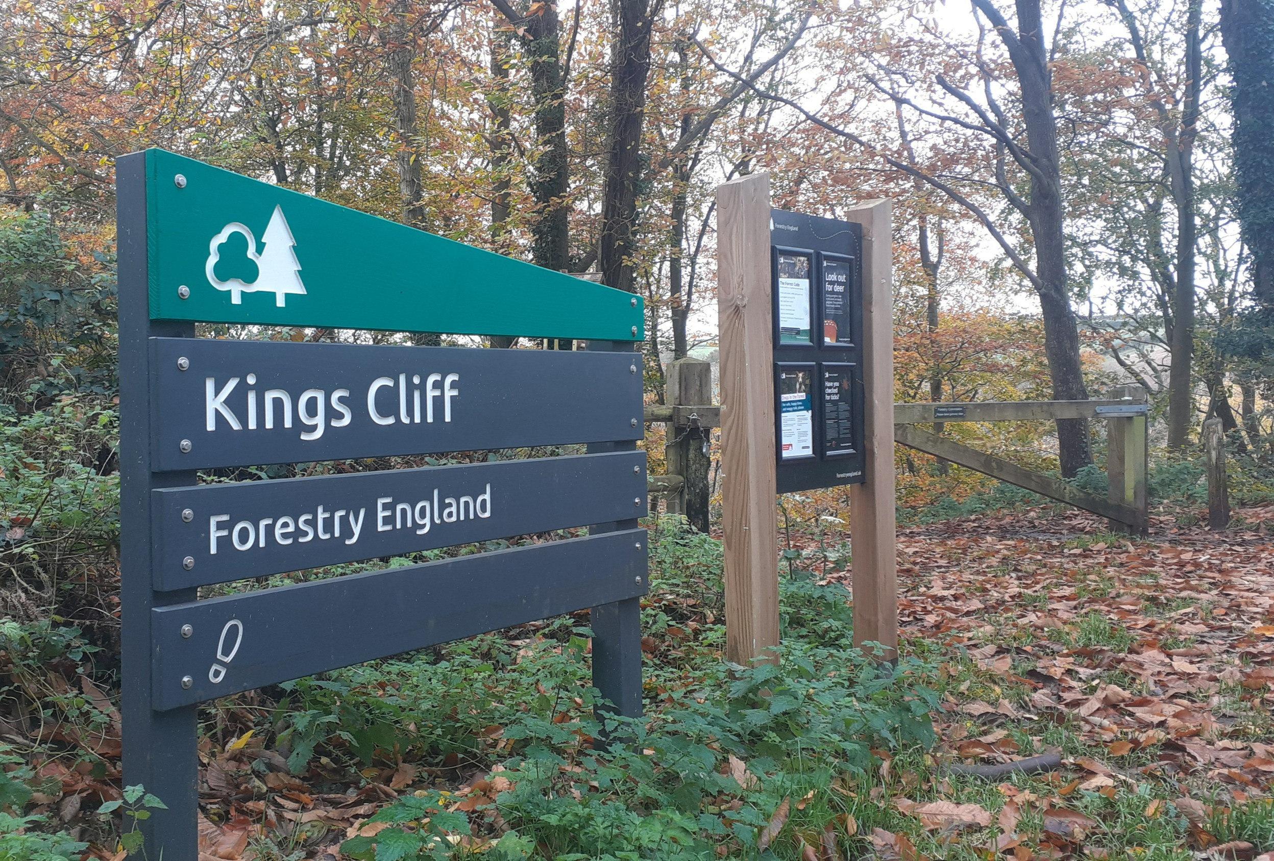 Kings Cliff Woods